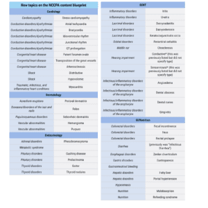 Everything to Know About the New 2025 PANCE Blueprint | Blog ...